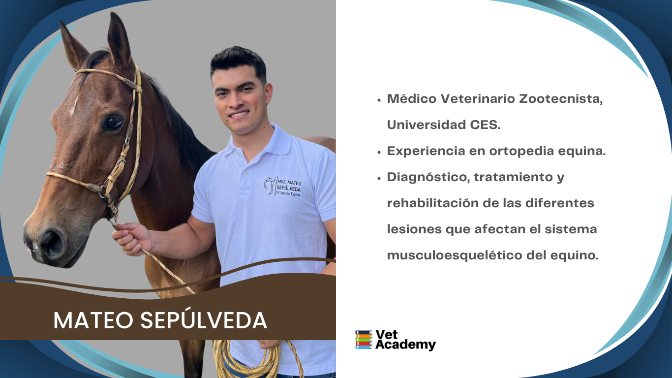 Vet Academy