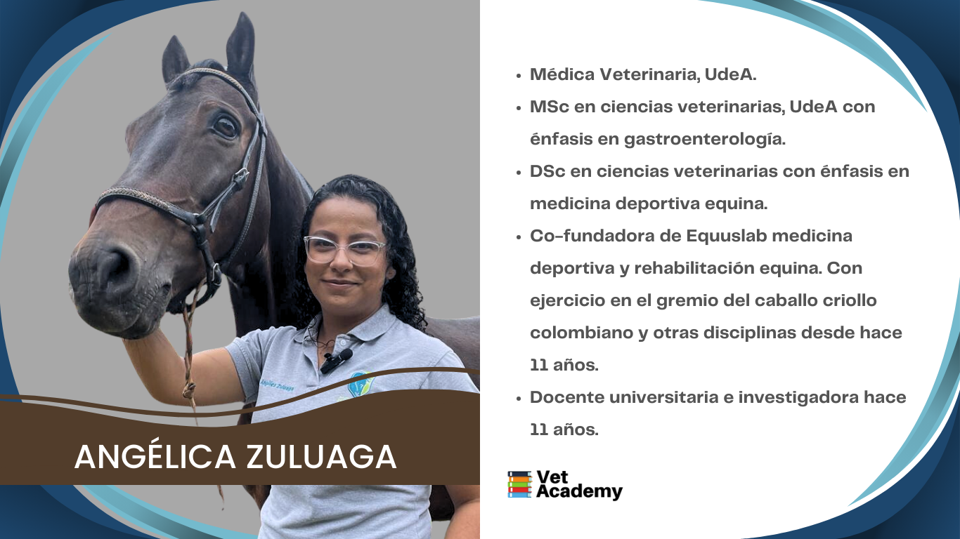 Vet Academy